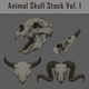 Animal Skull Vol 1, Vectors | GraphicRiver