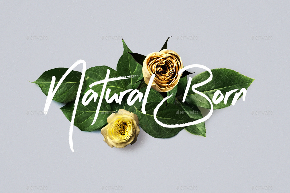 Flower Boom Graphic Pack, Isolated Objects | GraphicRiver