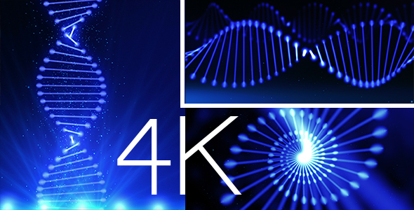 Animated DNA Chain, Motion Graphics | VideoHive