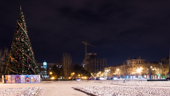 Main Tree of City and Central Square, Stock Footage | VideoHive