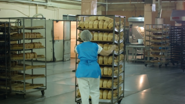 Manufacture of Bread Products, the Employee Pushes a Rack with a Fresh ...
