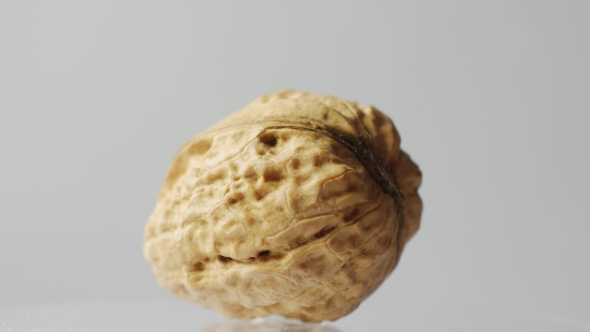 One Walnut Isolated on White by ramiai | VideoHive