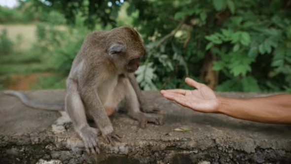 The Emerging Friendship Between a Man Who Gives His Tanned Arm To the ...