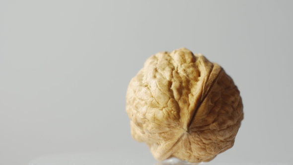 One Walnut Isolated on White, Stock Footage | VideoHive