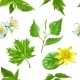 Spring Green Leaves and Flowers. Seamless Pattern, Vectors | GraphicRiver