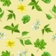 Spring Green Leaves and Flowers. Seamless Pattern, Vectors | GraphicRiver