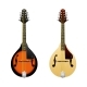 Realistic Vector Mandolin / Isolated on White, Vectors | GraphicRiver