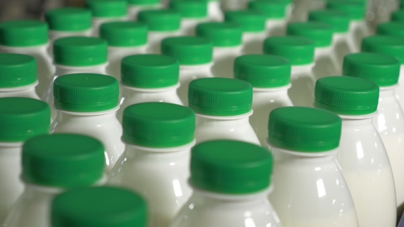 Milk in Bottles Moving on Conveyor. Milk with Green Caps on a Conveyor ...