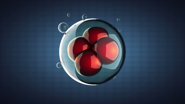 Rotate Cell Division, Motion Graphics | VideoHive