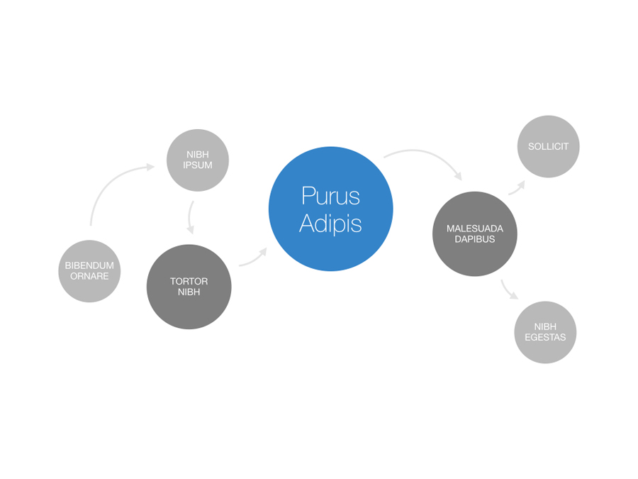 Diagrams for PowerPoint, Presentation Templates | GraphicRiver