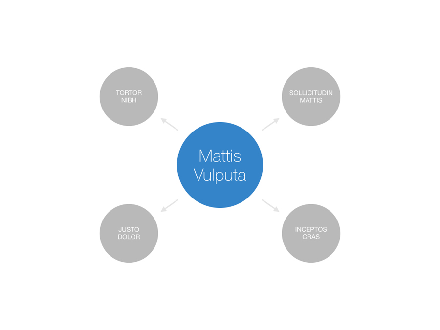 Diagrams for PowerPoint, Presentation Templates | GraphicRiver