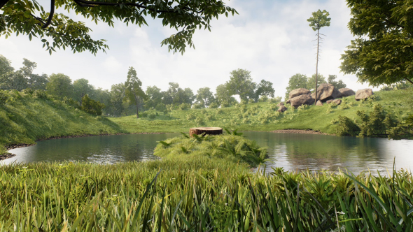 Realistic Natural Background, Motion Graphics | VideoHive