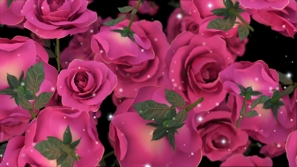 Roses Background, Motion Graphics | VideoHive