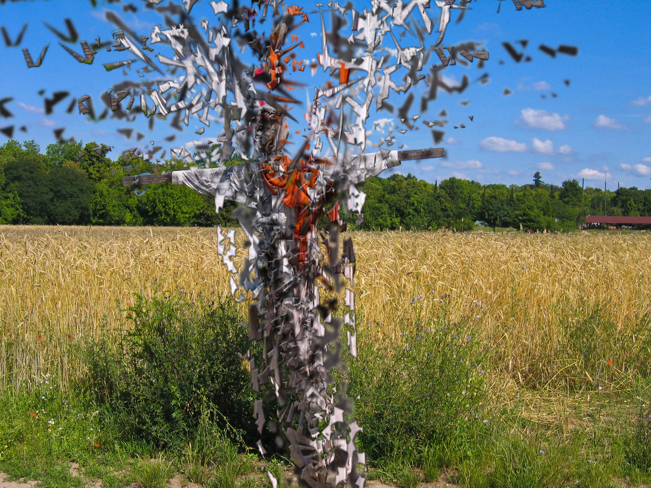 Scatter Photo Effects Animator, Add-ons | GraphicRiver