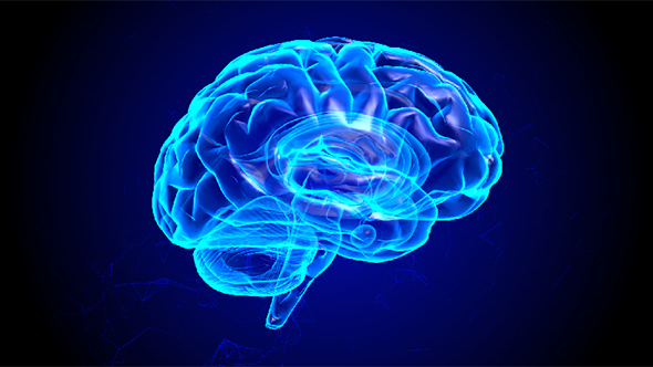 Transparent Brain Rotation, Motion Graphics | VideoHive