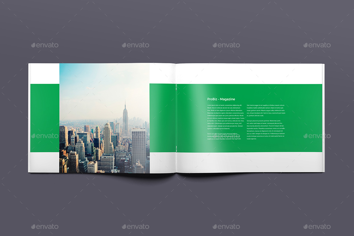 ProBiz – Business and Corporate Brochure/Magazine Horizontal, Print ...