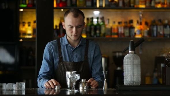 Bartender at the Bar, Stock Footage | VideoHive