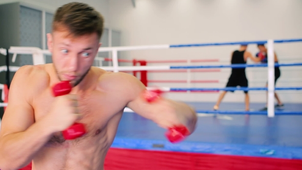 Boxer Training with Dumbbells., Stock Footage | VideoHive