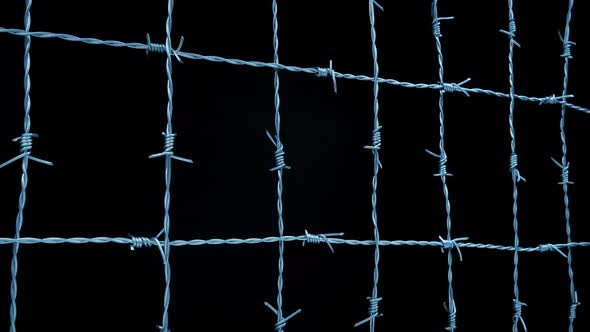 Strong Barbed Wire Grid Moving Shot, Stock Footage | VideoHive