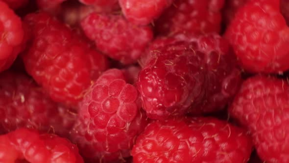 Macro Video of Spinning Raspberries Top View by zarinalukash | VideoHive