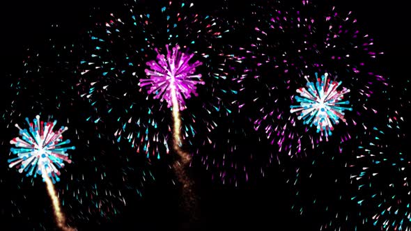 Fireworks In Night Sky, Colorful Firework Background Use For Videos And ...