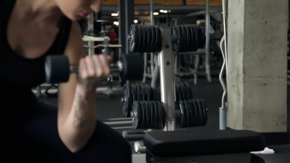 The Sportswoman Raises and Lowers the Left Hand Dumbbell in the Gym ...