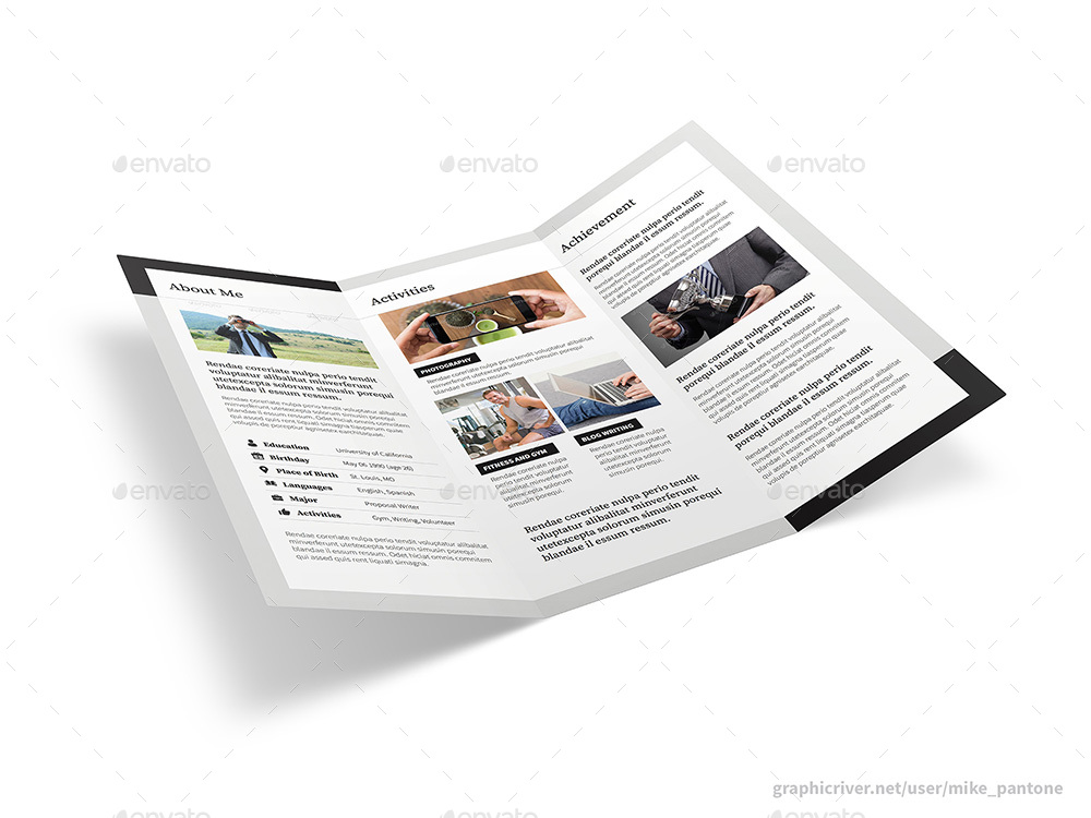 Personal Profile Trifold Brochure, Print Templates | GraphicRiver