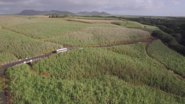 Aerial Shot of Sugarcane Fields in Mauritius, Stock Footage | VideoHive