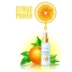 Citrus Power Cosmetics Colorful Composition Poster by macrovector ...