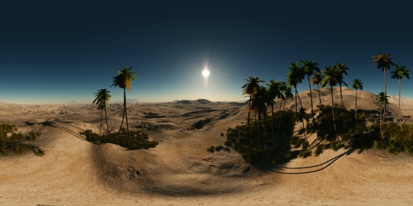 VR 360 Degree Aerial Panorama of Palms in Desert, Motion Graphics ...