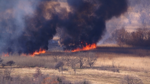 a Fast-moving Fire on Dry Grass Field, Stock Footage | VideoHive