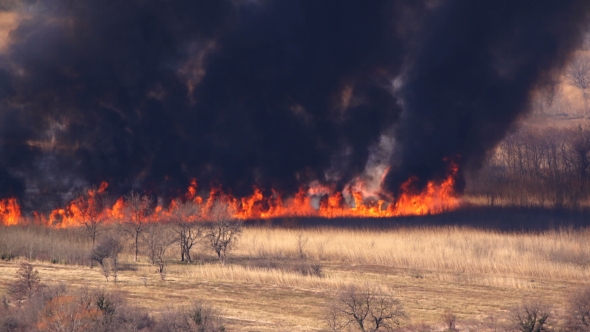 a Fast-moving Fire on Dry Grass Field, Stock Footage | VideoHive