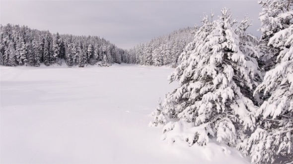 Beautiful Snow, Stock Footage | VideoHive