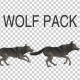 Wolfpack Run Animation, Motion Graphics | VideoHive