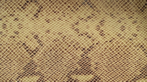 Texture Genuine Leather , Embossed Under Skin Sand Python, Background ...