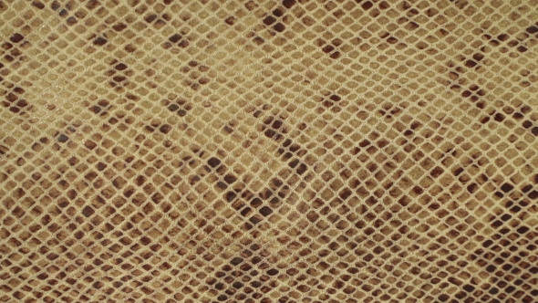 Texture Genuine Leather, Embossed Under Skin Sand Python, Background ...