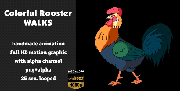 Colorful Rooster Walks. Classic handmade Animation with Alpha Channel ...