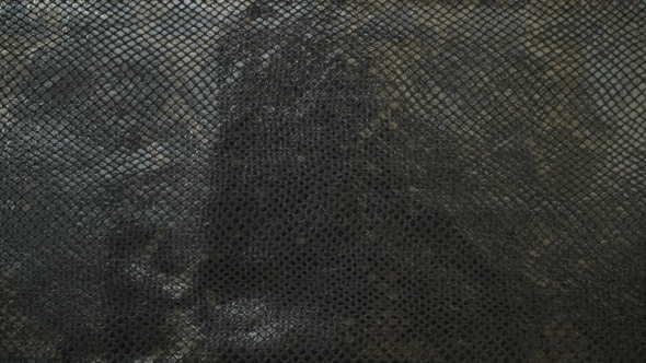 Texture Genuine Leather, Embossed Under Skin Black Python, Background ...