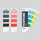 Pantone Color Cards Mock-up, Graphics | GraphicRiver