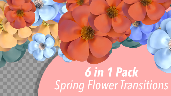 Spring Flower Transitions, Motion Graphics | VideoHive