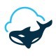 Orca Cloud Logo, Logo Templates | GraphicRiver