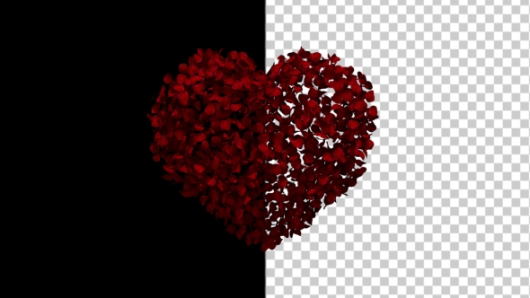 Heart Animation From Rose Petals, Motion Graphics | VideoHive