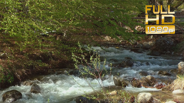 River, Stock Footage | VideoHive