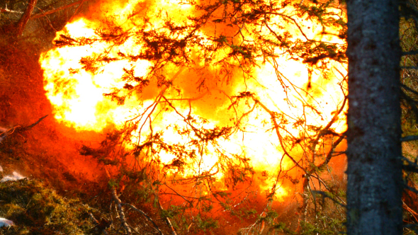 Musket 1700th century by Ekkofilm | VideoHive