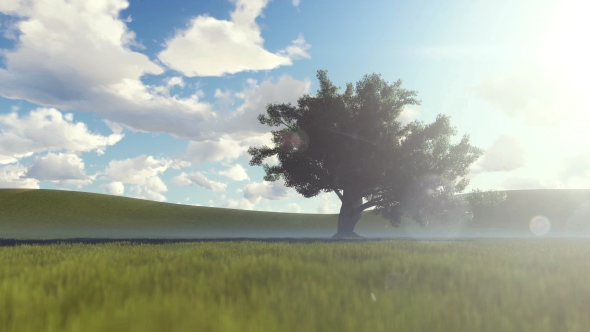 Beautiful Nature, Motion Graphics | VideoHive