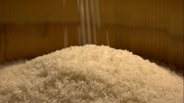 Rice Falling, Stock Footage | VideoHive