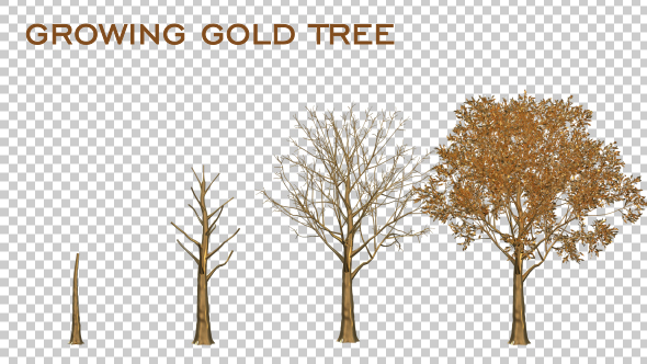 Gold Tree Growing, Motion Graphics | VideoHive