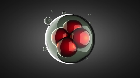 Rotate Cell Division, Motion Graphics | VideoHive