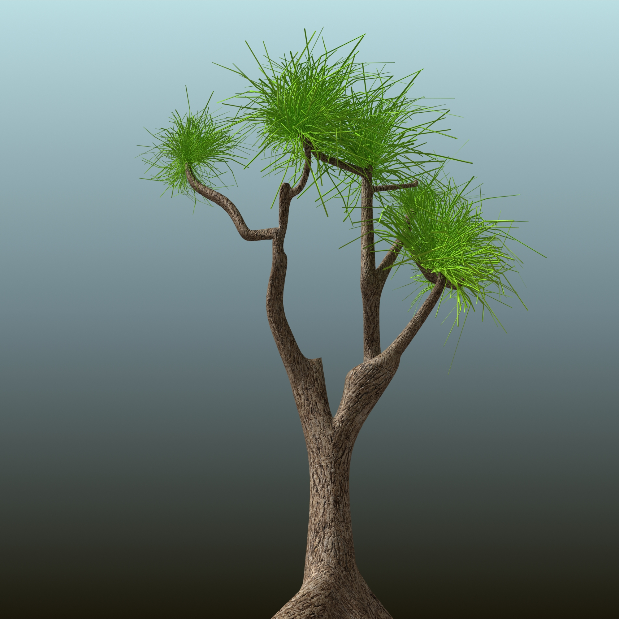 Tree_01 by Polygon3d | 3DOcean
