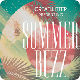 Summer Buzz Fyer, Print Templates | GraphicRiver